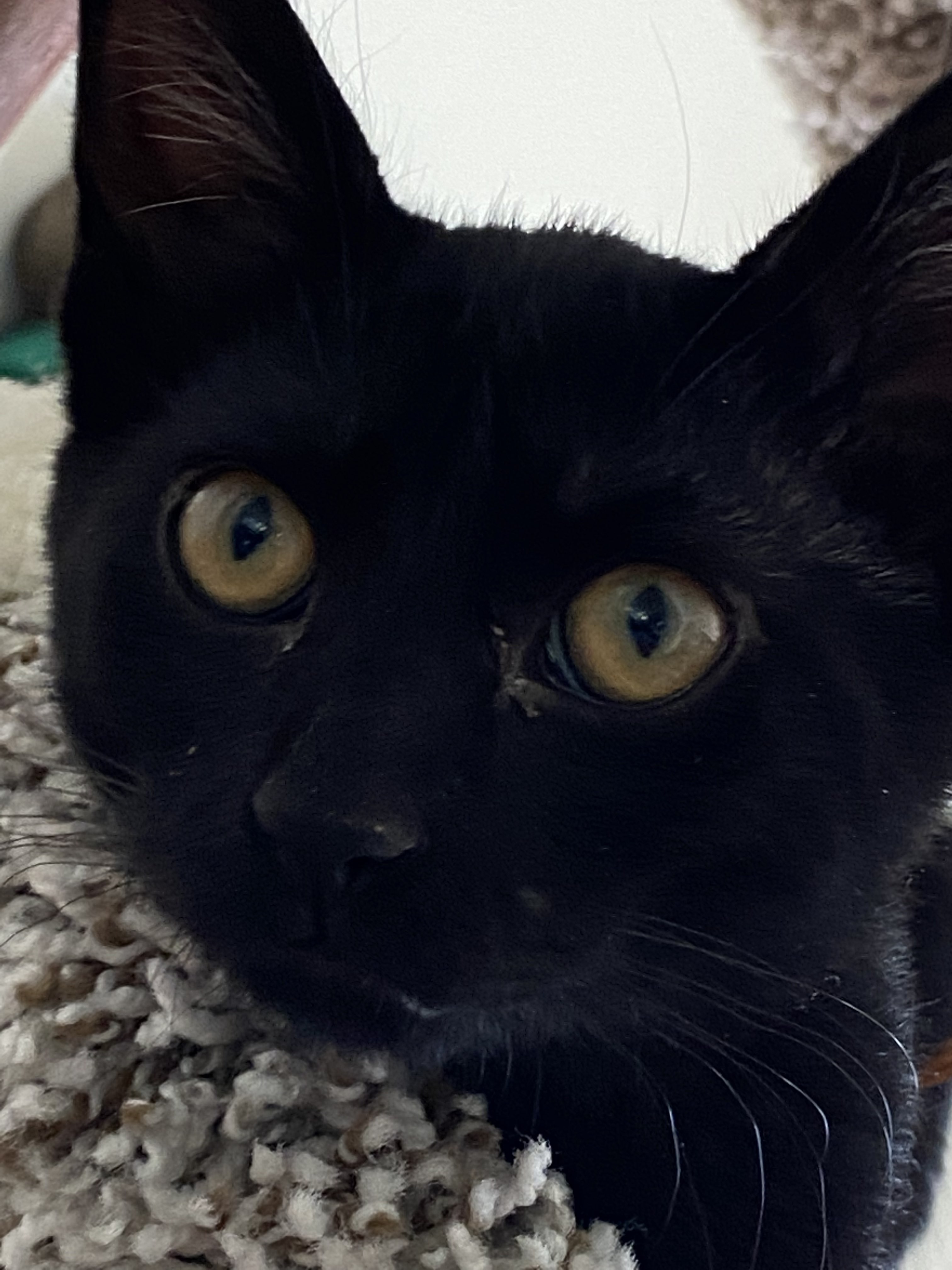 final module - Unity Play